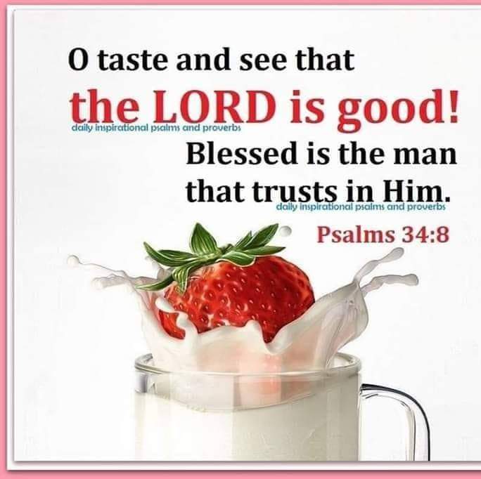 TASTE AND SEE. « Hope and Enlightenment